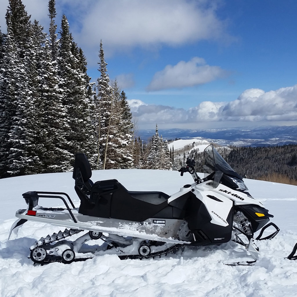 Summer Adventure - Red Pine Adventures