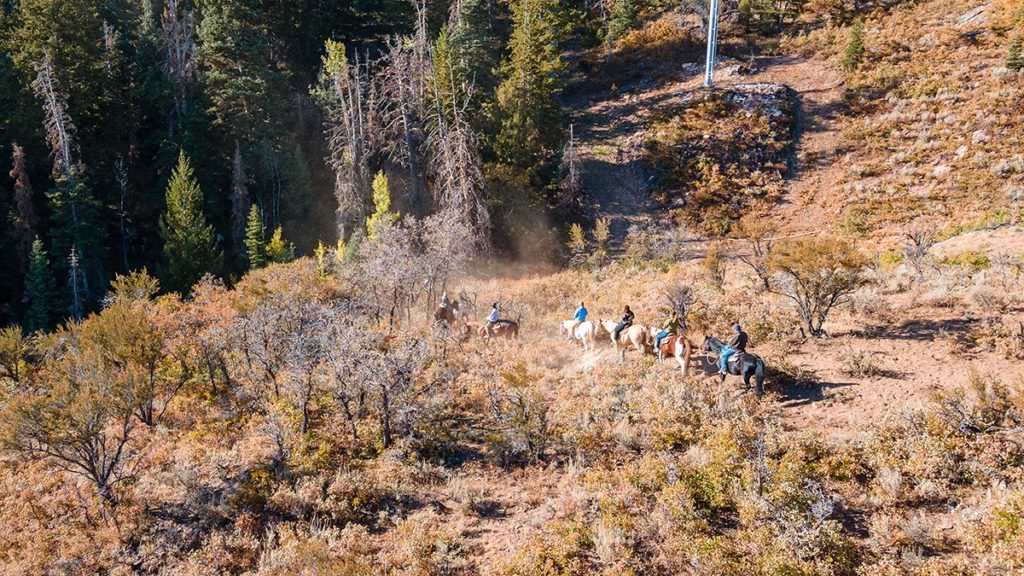 Red Pine Adventures 15 - Red Pine Adventures