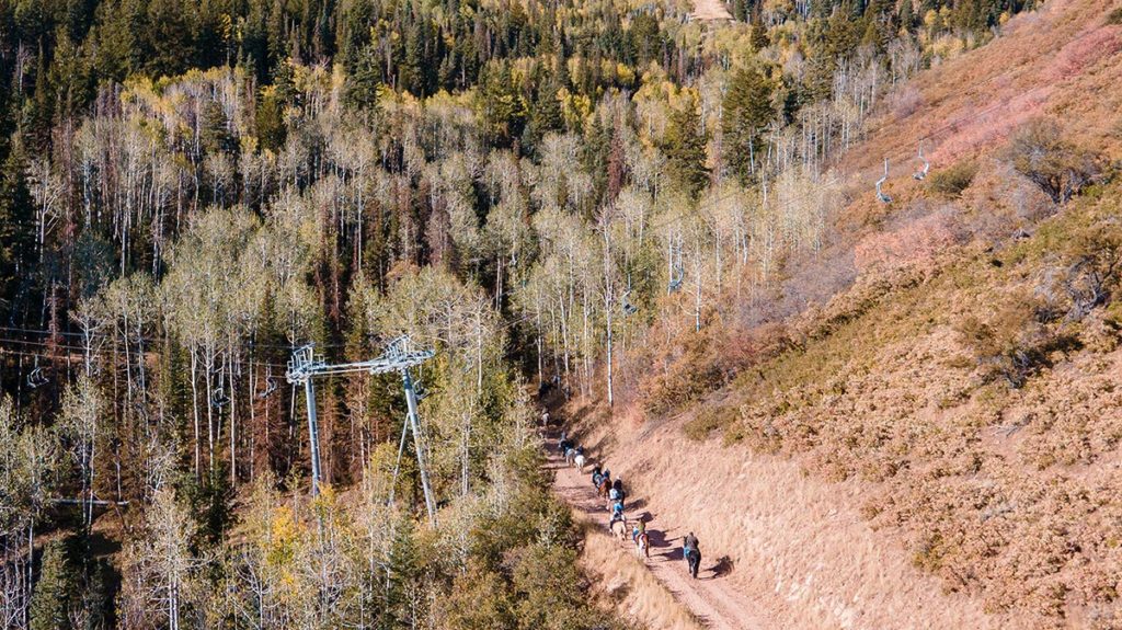 Red Pine Adventures 18 - Red Pine Adventures