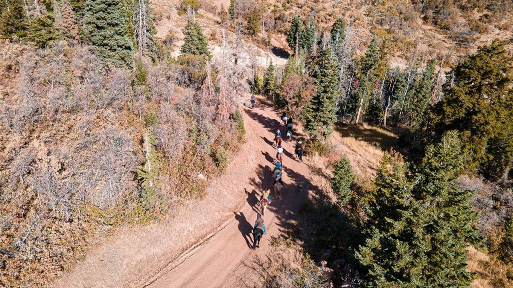 Summer Adventure - Red Pine Adventures