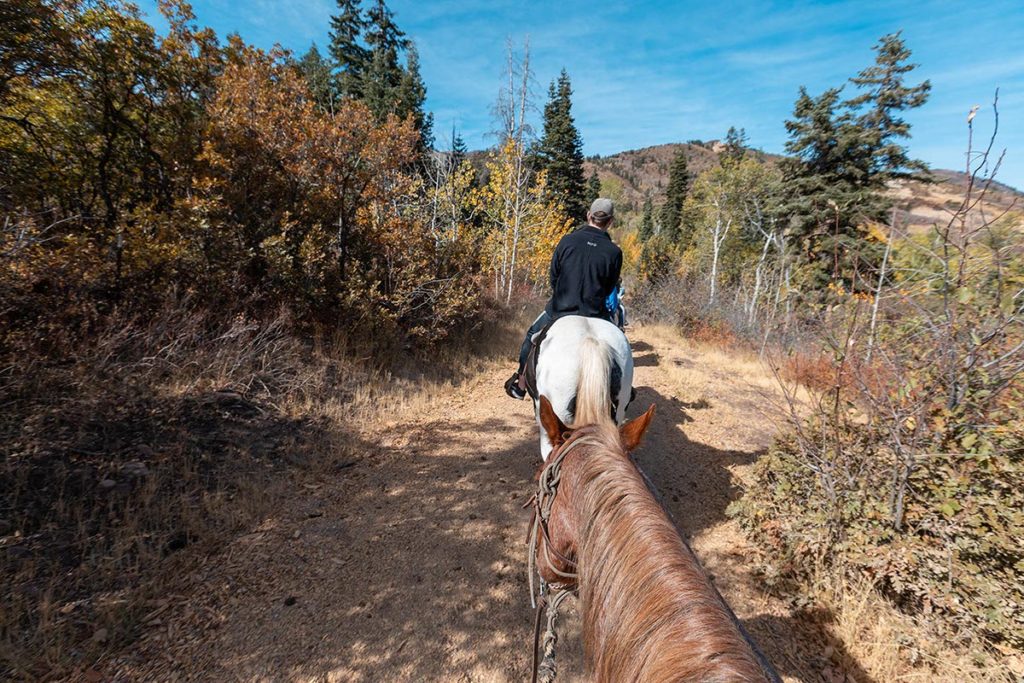 Summer Adventure - Red Pine Adventures